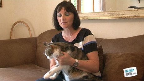 Apprendre le langage des chats - Minutefacile.com