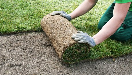 Poser du gazon en rouleau - Minutefacile.com